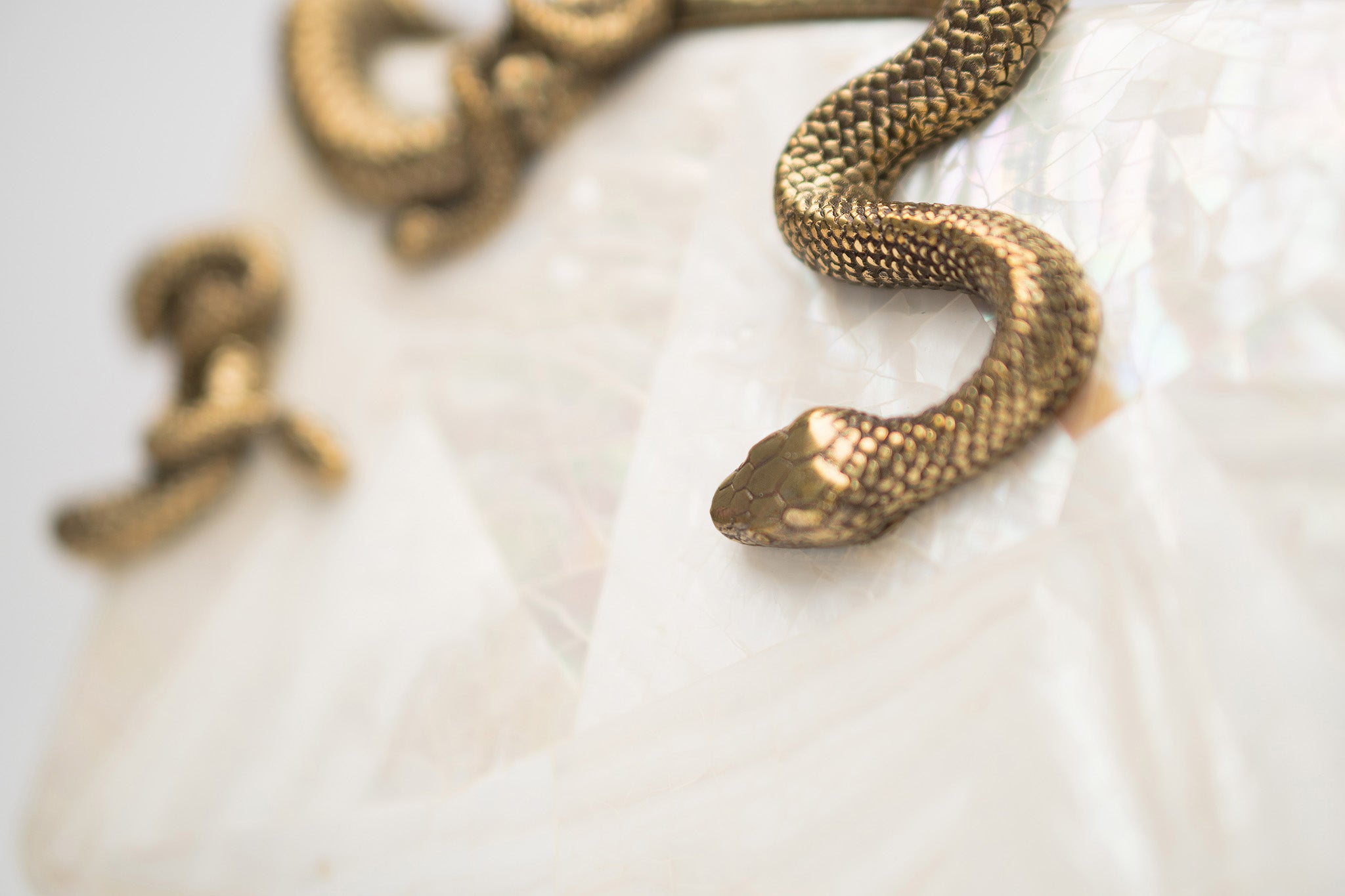 Medusa & Midas Minaudière in White Cabebe Shell – Neil Felipp